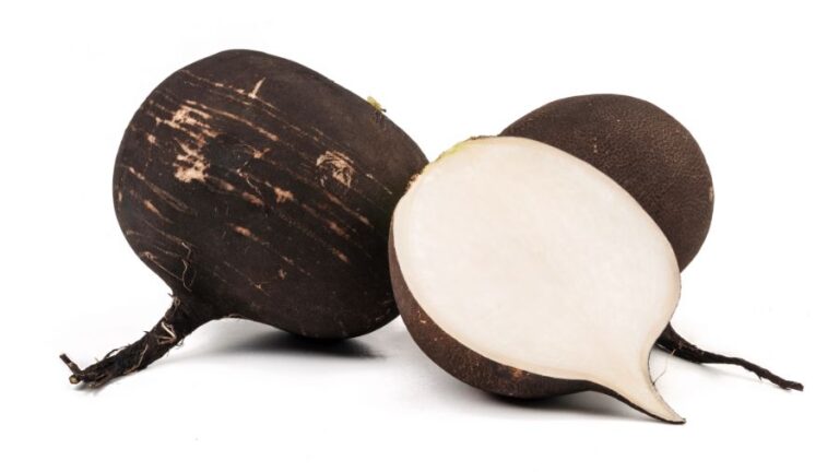 Seizoensgroenten Januari Lijst Menuut