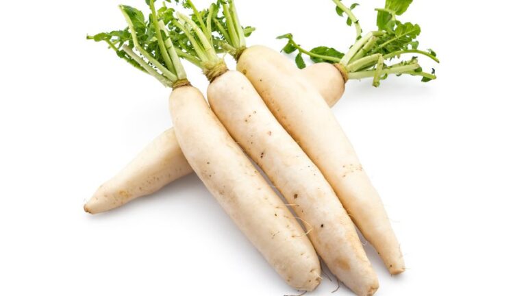 Seizoensgroenten Januari Lijst Menuut